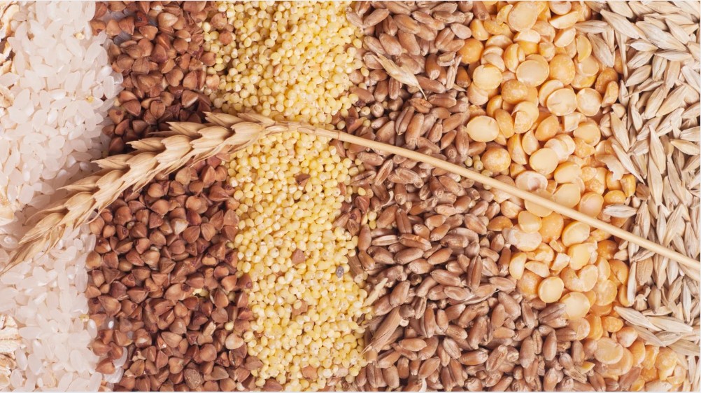 Tahıl ve Yağlı Tohumlar | Agroviva